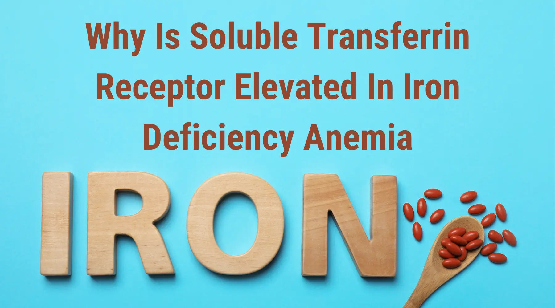 Why Is Soluble Transferrin Receptor Elevated In Iron Deficiency Anemia ...